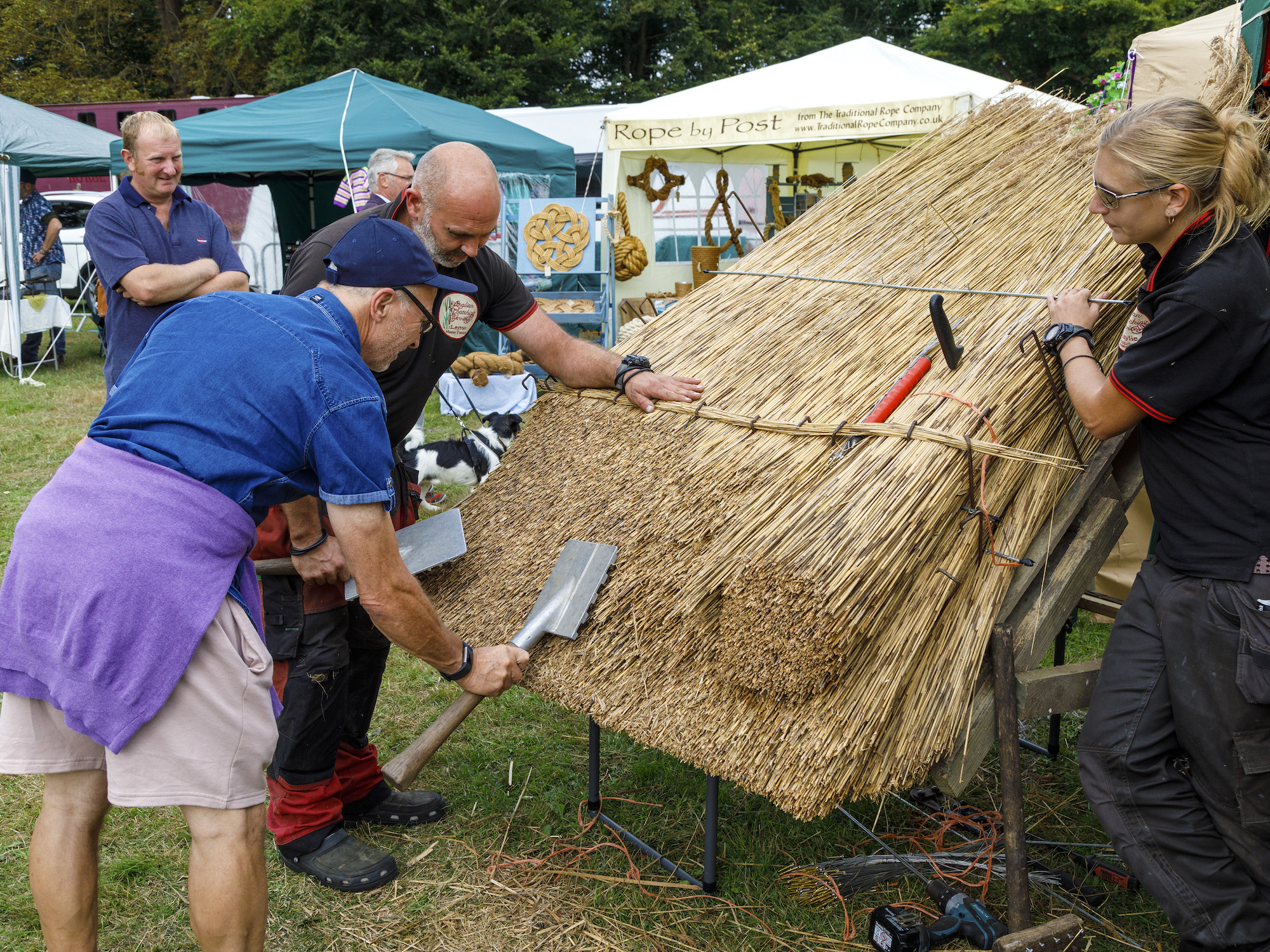 Exhibitors - The Aylsham Show