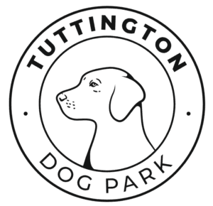 Dog scurry - The Aylsham Show